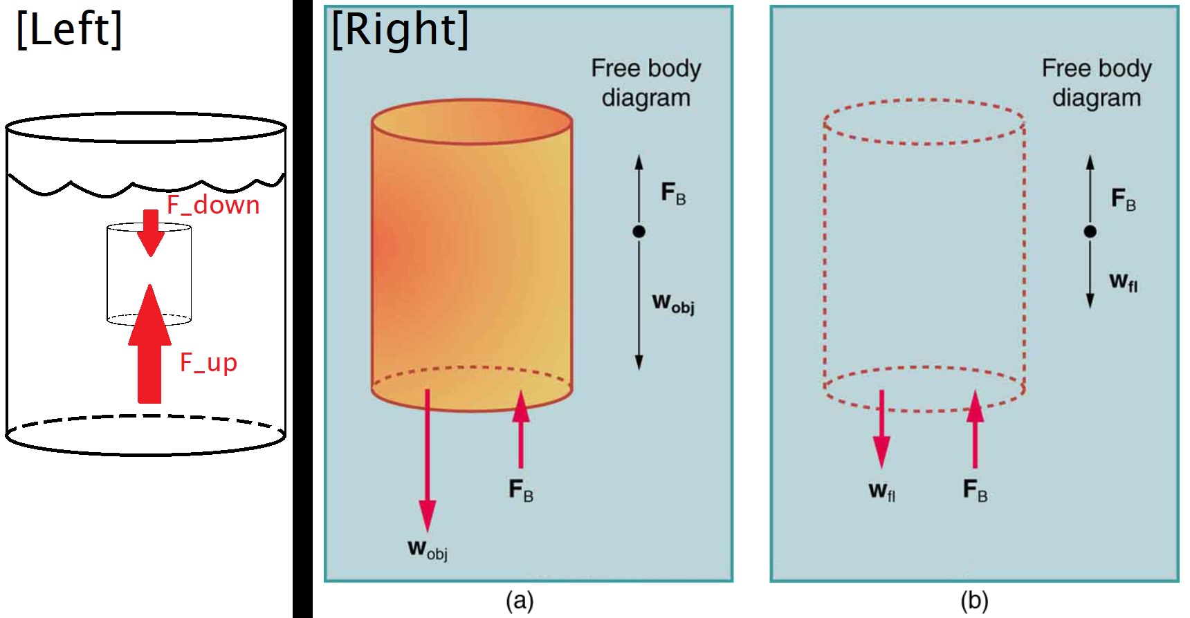 Fluid Physics with Archimedes’ & Bernoulli’s Principles - Fairfield U ...