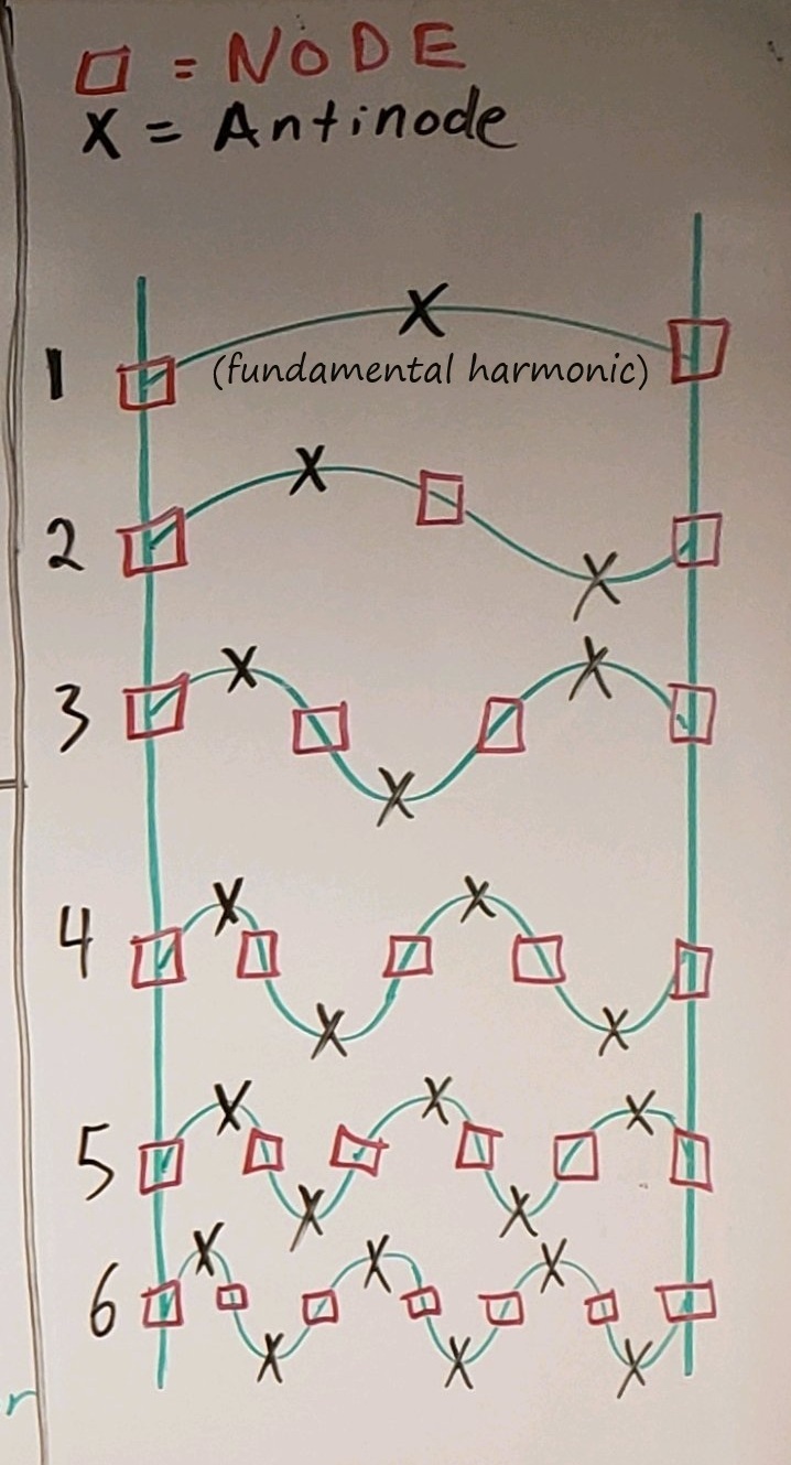 Wave Motion - Fairfield U. Physics Lab Manual